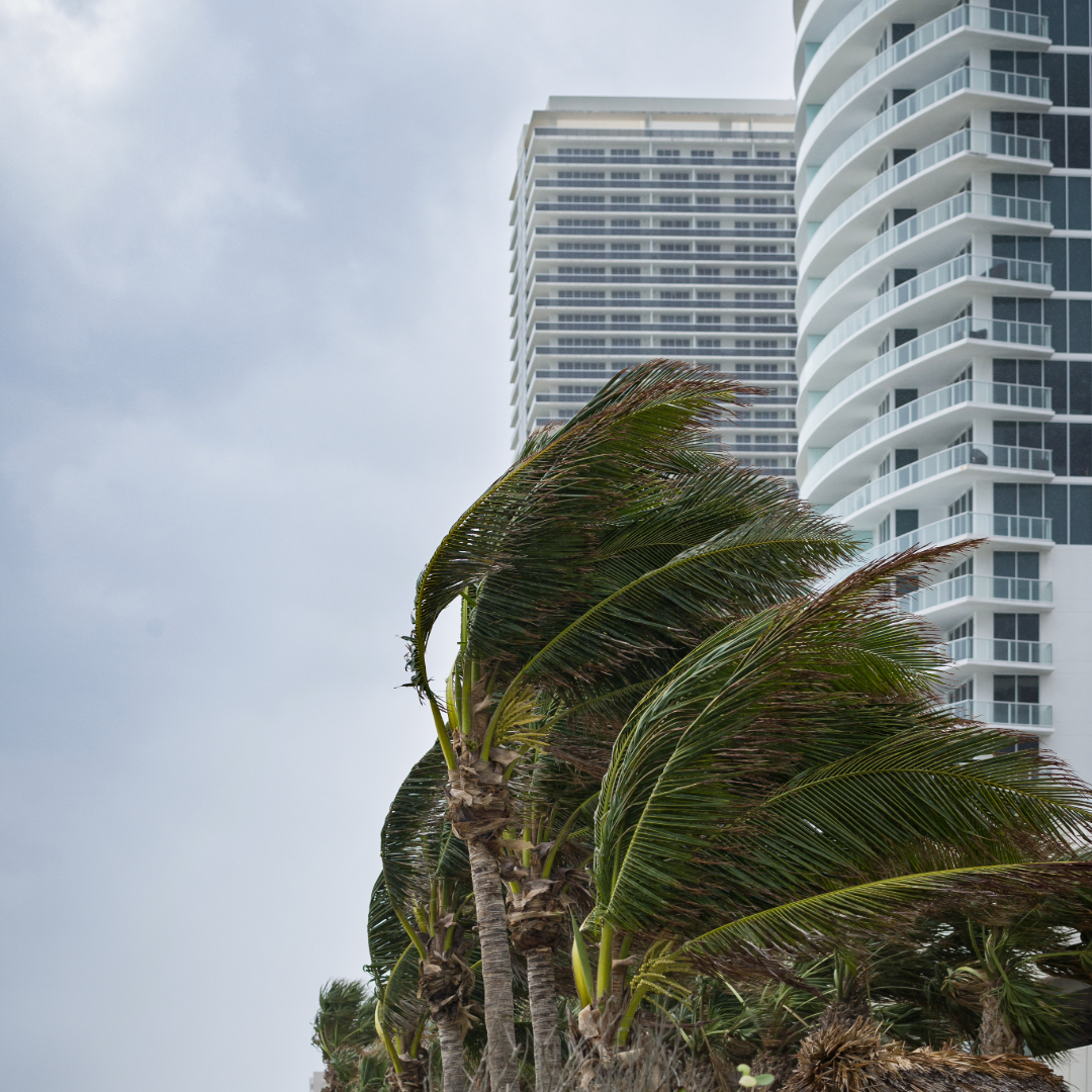 Strong Against the Storm: Hurricane-Resistant Solutions - Unified Door ...